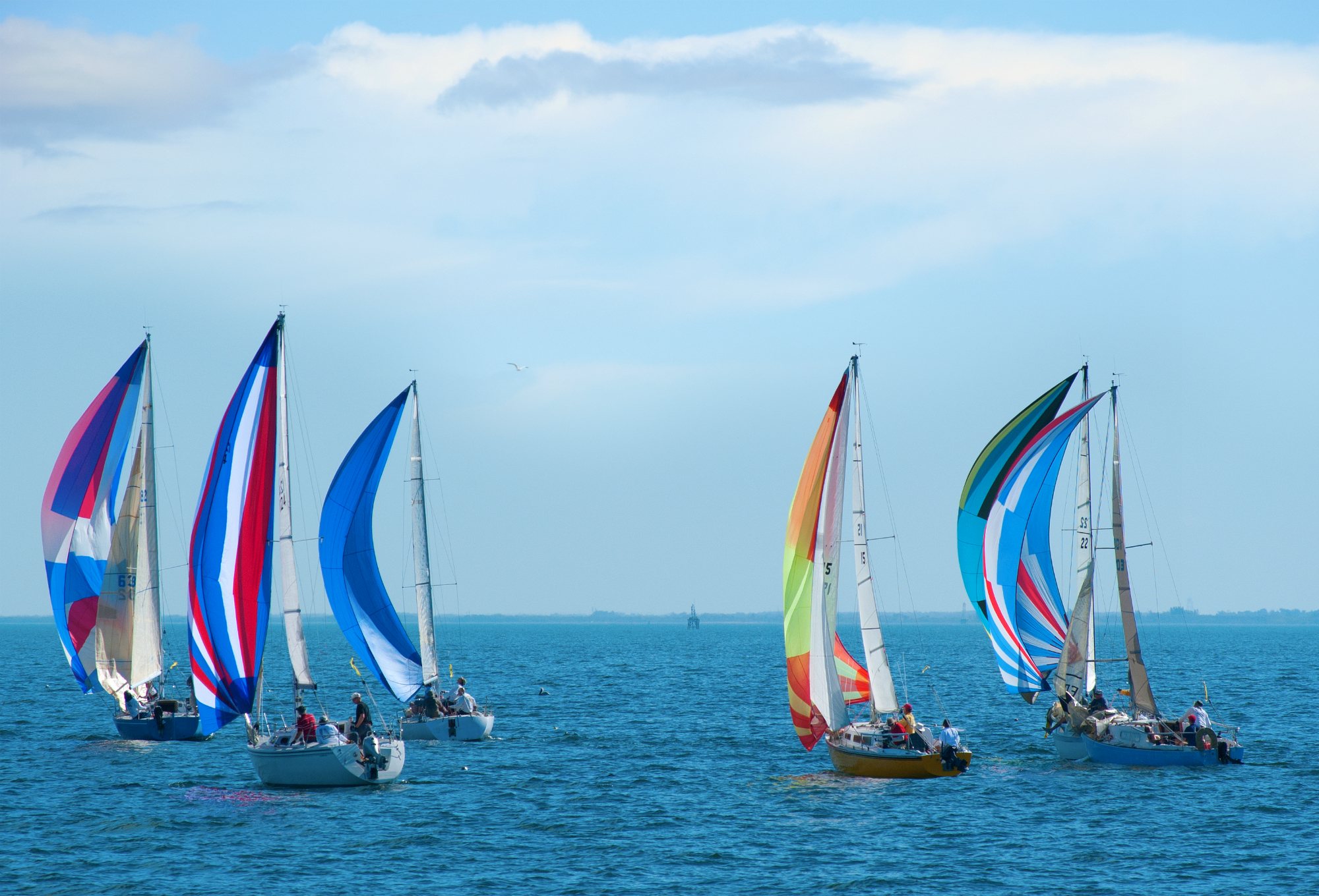 James R. Green, DMD Tampa FL, Green Oral Surgery & Implant Center of ...